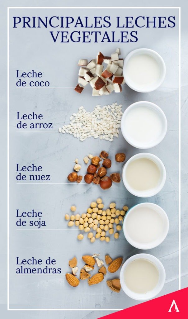 Tipos de Leches Vegetales | Leches Veganas